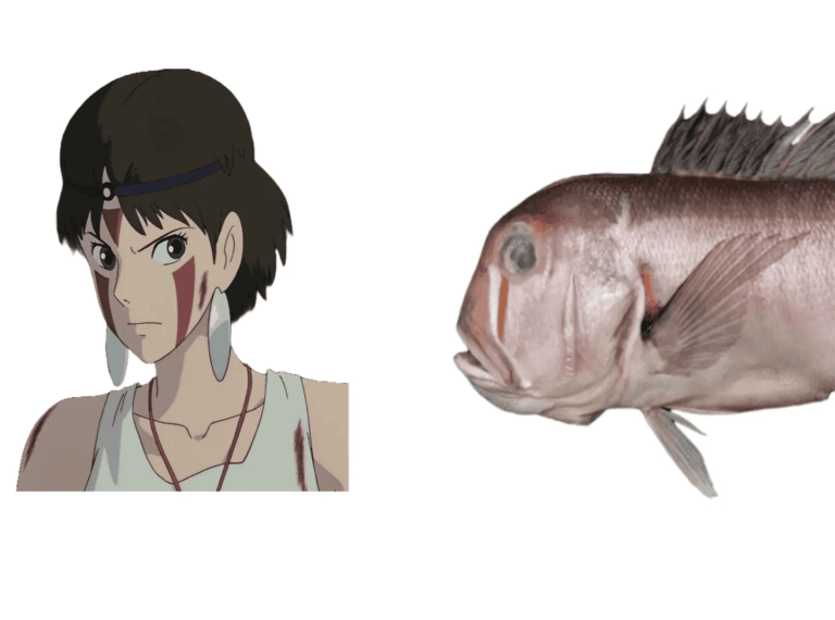 “Pez blanquillo Mononoke”. Nueva especie de pez es nombrada por la ...